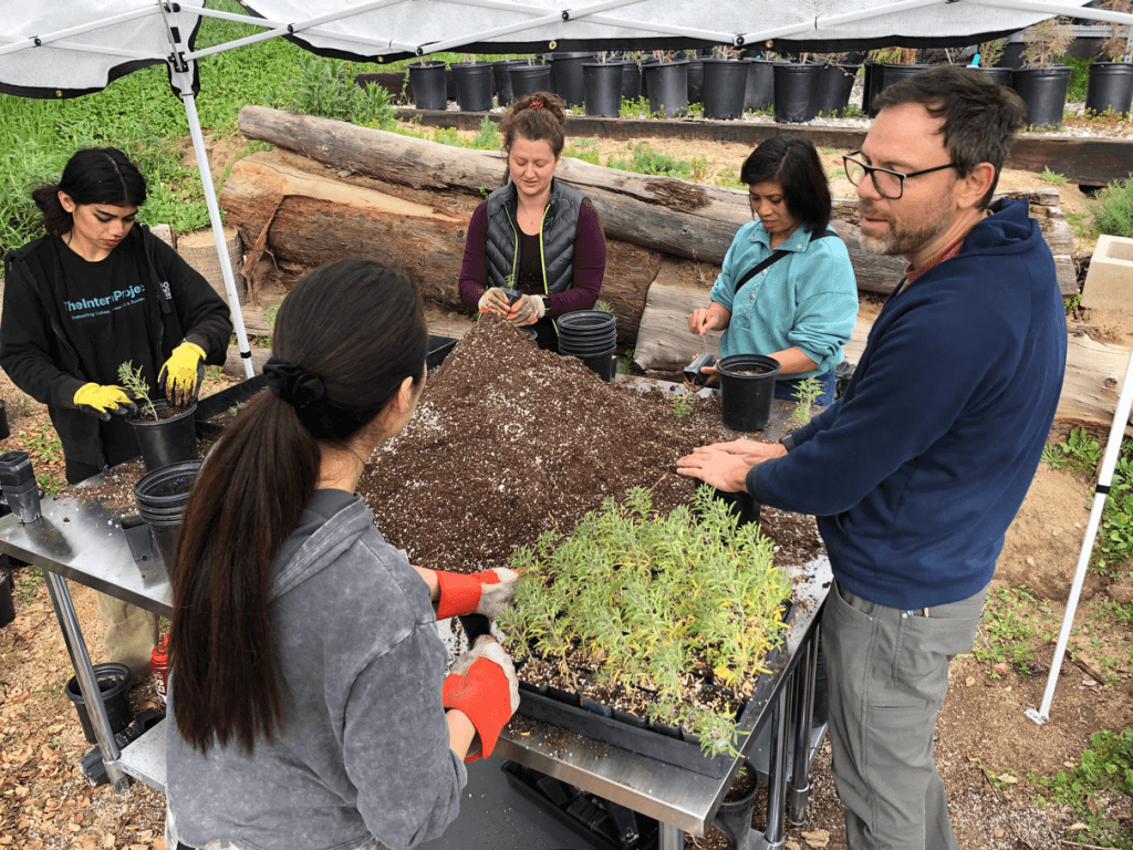 Commonwealth Native Plant Nursery - Los Angeles Parks Foundation