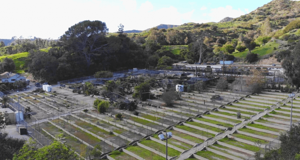 Commonwealth Native Plant Nursery - Los Angeles Parks Foundation